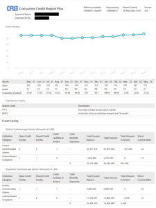 CRIB Solution – SP Solutions (Pvt) Ltd